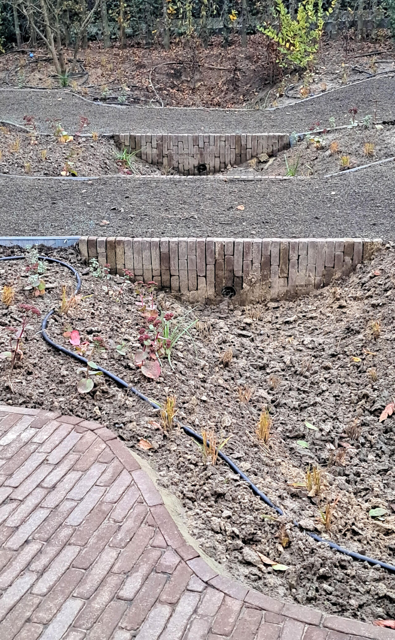 Hellende tuin met wadi voor waterinfiltratie | Greenarchitects