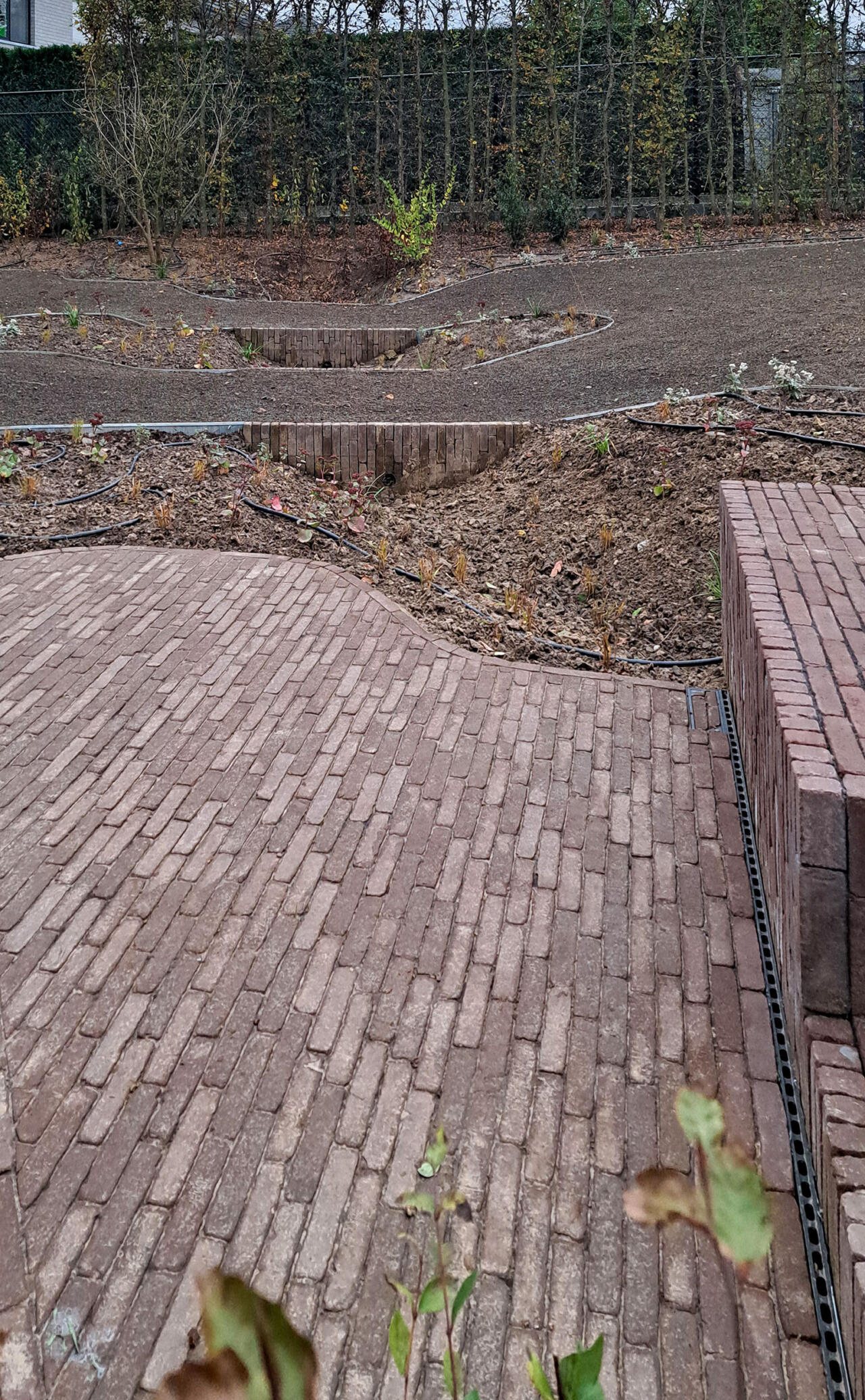 Hellende tuin met wadi voor waterinfiltratie | Greenarchitects