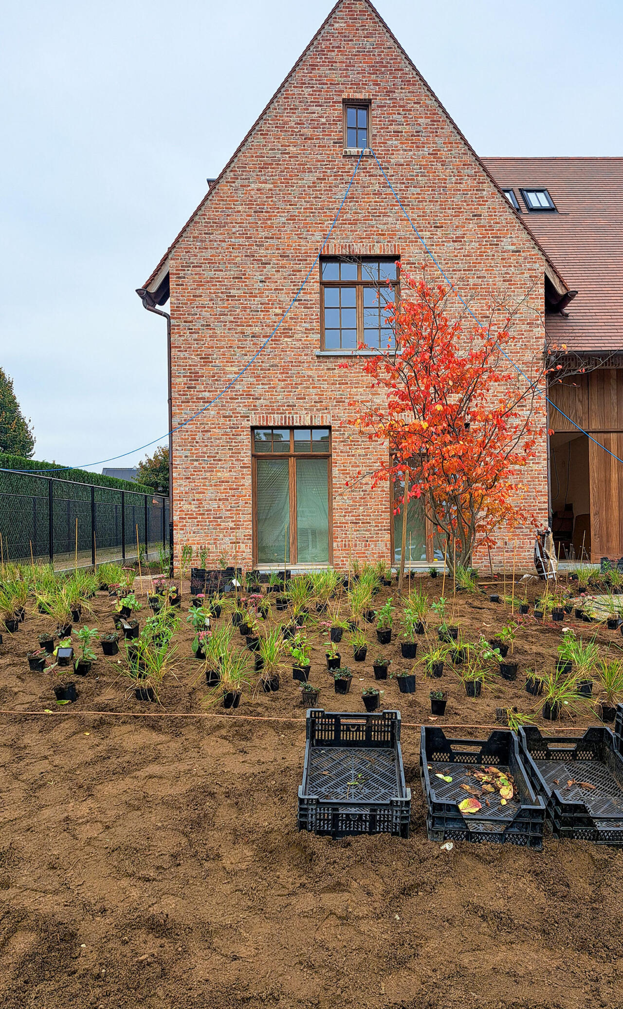 Hellende tuin met wadi voor waterinfiltratie | Greenarchitects