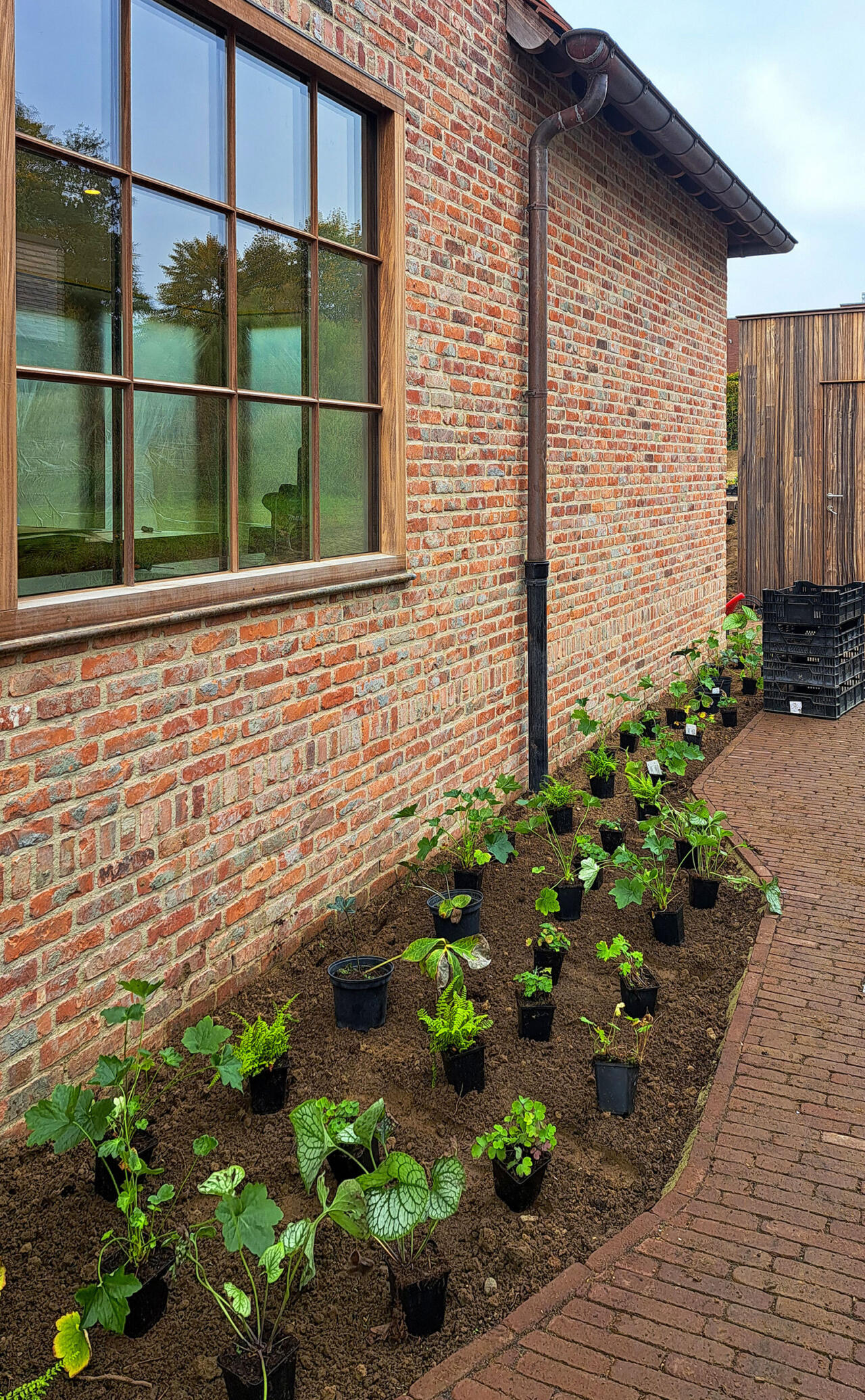 Hellende tuin met wadi voor waterinfiltratie | Greenarchitects