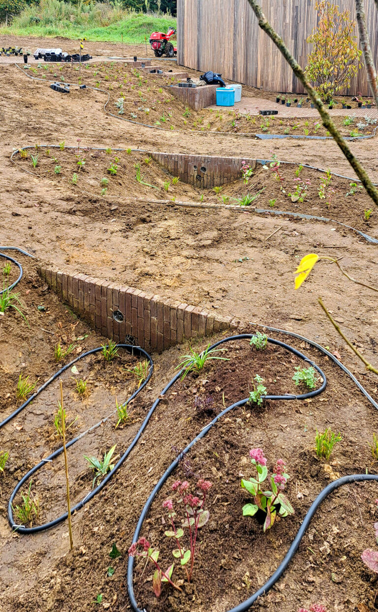 Hellende tuin met wadi voor waterinfiltratie | Greenarchitects